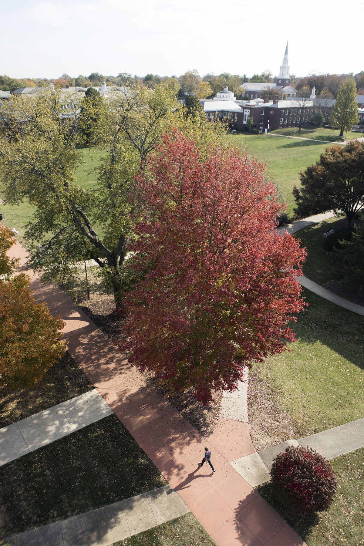 TWO DECADES of BOYCE COLLEGE — Southern Equip